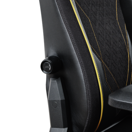 Trust Pro Premium Gaming Chair - Top Choice